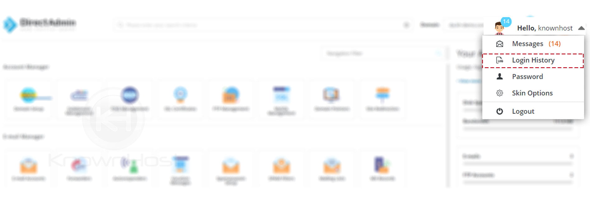 How to check past login history in DirectAdmin? - KnownHost