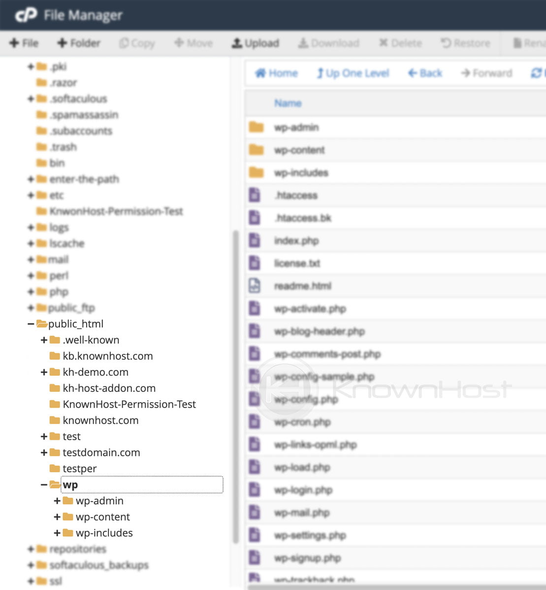 How To Update Your Wp Config Php File With A New Database Password Knownhost