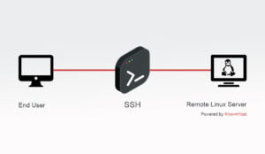 How to use SSH and 20 Basic Linux Commands? - KnownHost